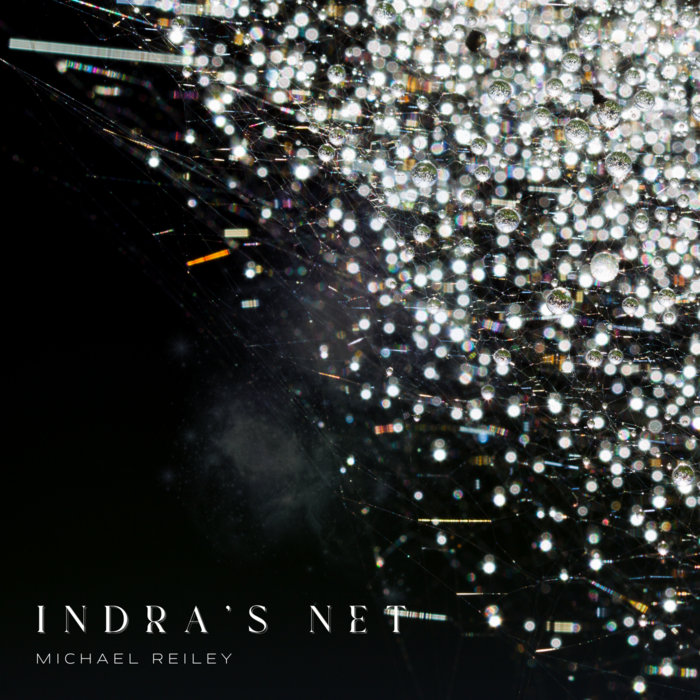 Indra's Net | Michael Reiley