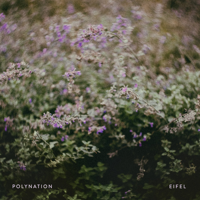 Eifel | Polynation