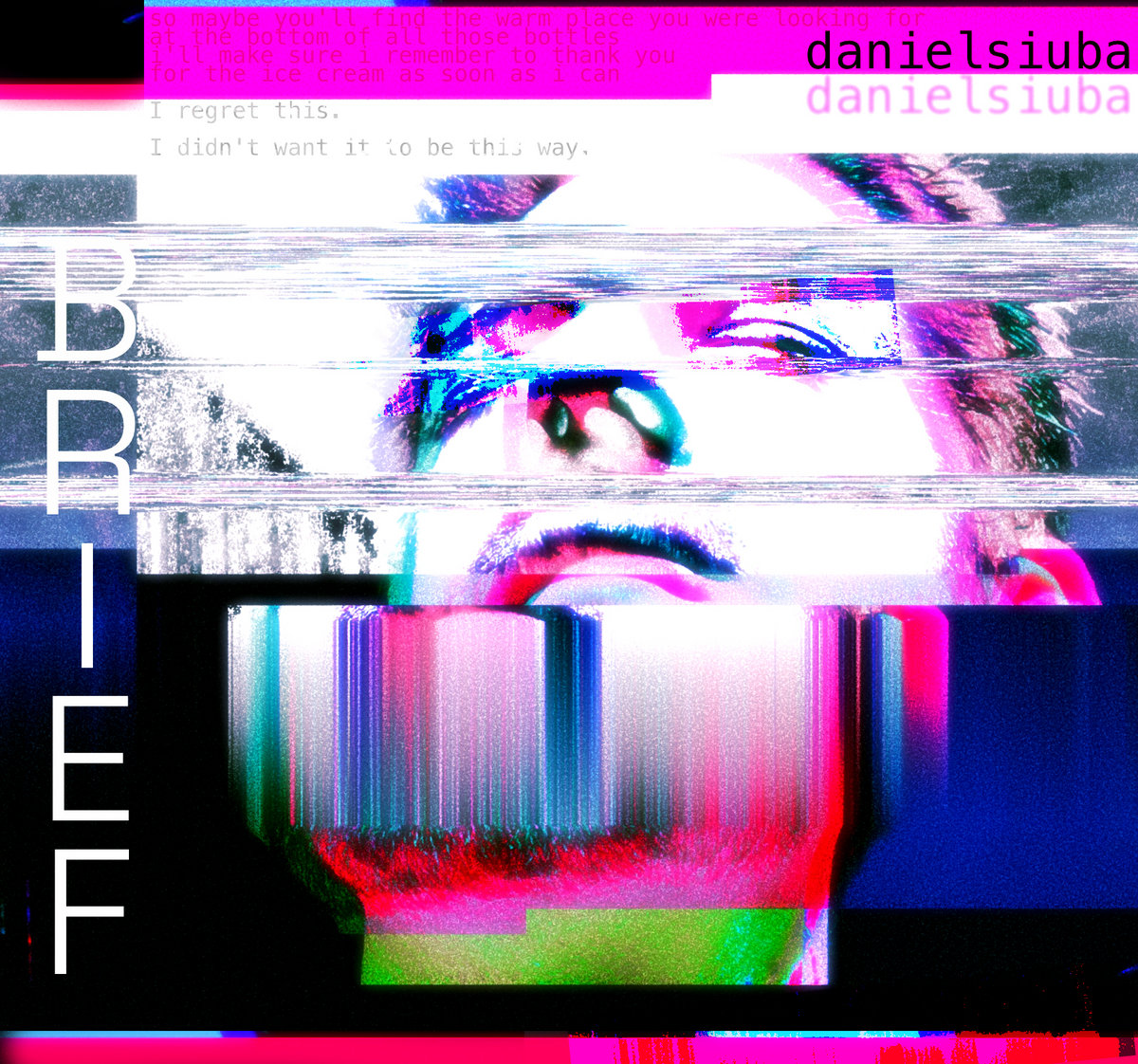 BRIEF | daniel siuba