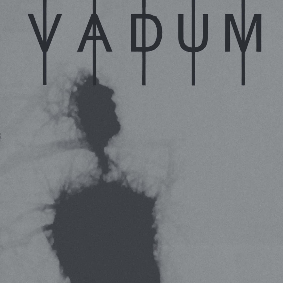 VADUM - Nevědomí | DIY190 VADUM - Nevědomí LP | D.I.Y. Koło Records