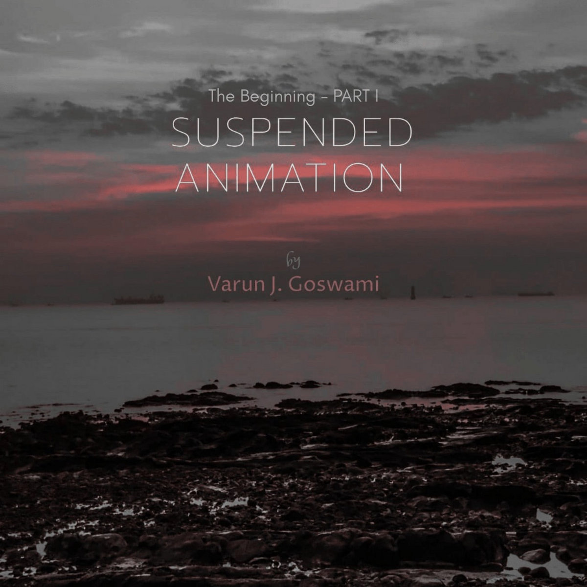 SUSPENDED ANIMATION | Varun J. Goswami