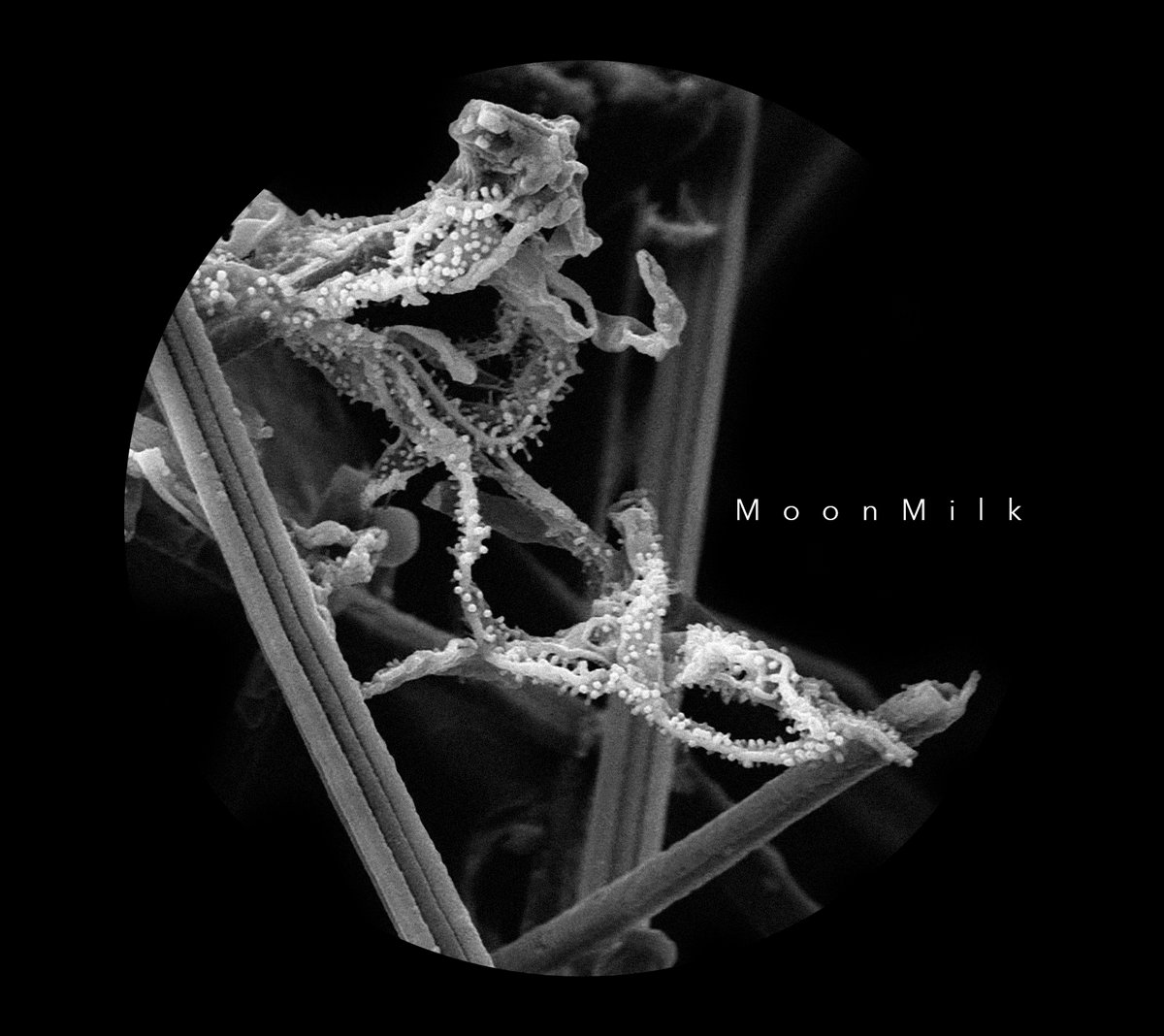 MoonMilk | Emily Sheppard