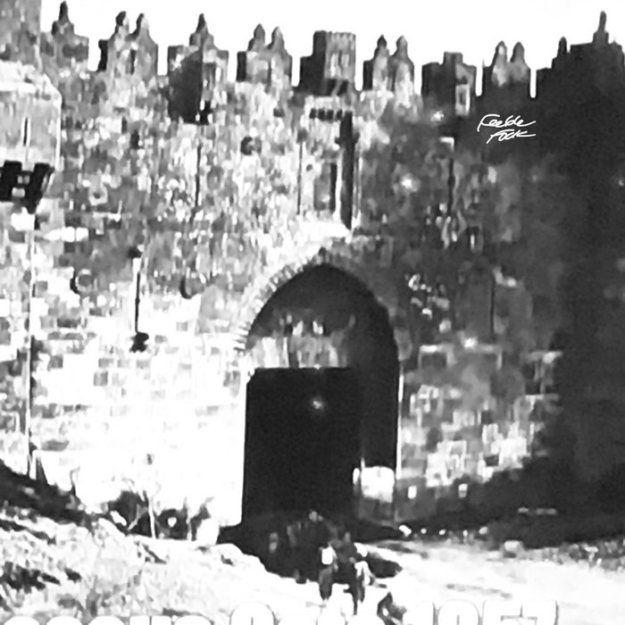 And he divided himself against them, he and his servants, by night, and ...