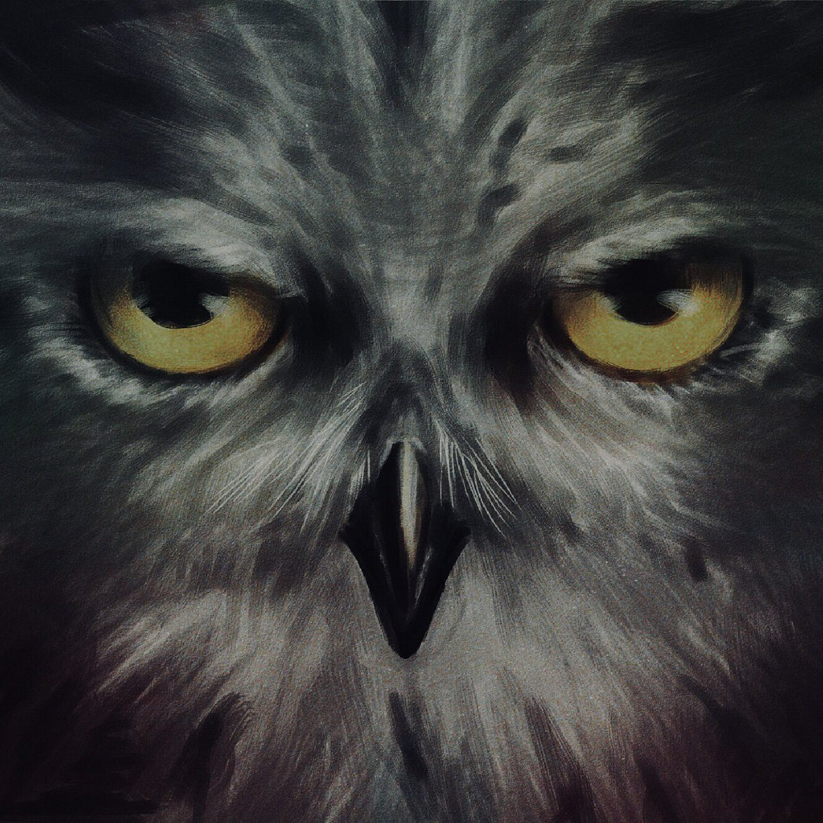 OWL EP | あしだともき／TOMOKI ASHIDA