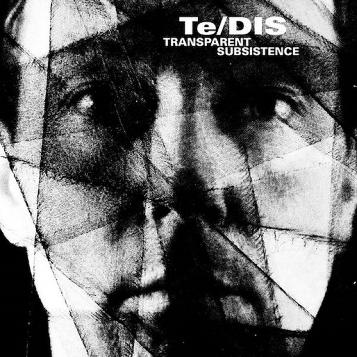 Transparent Subsistence | Te/DIS