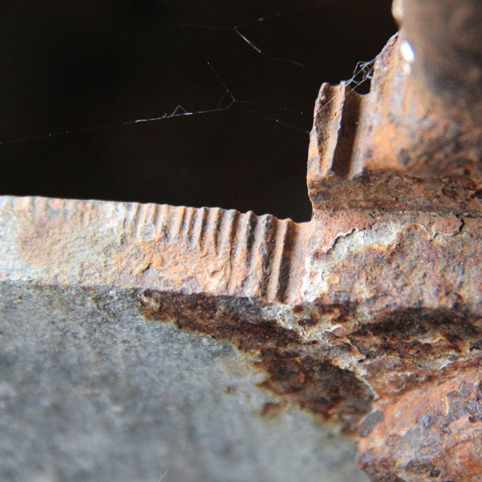 Trace Evidence | simon whetham