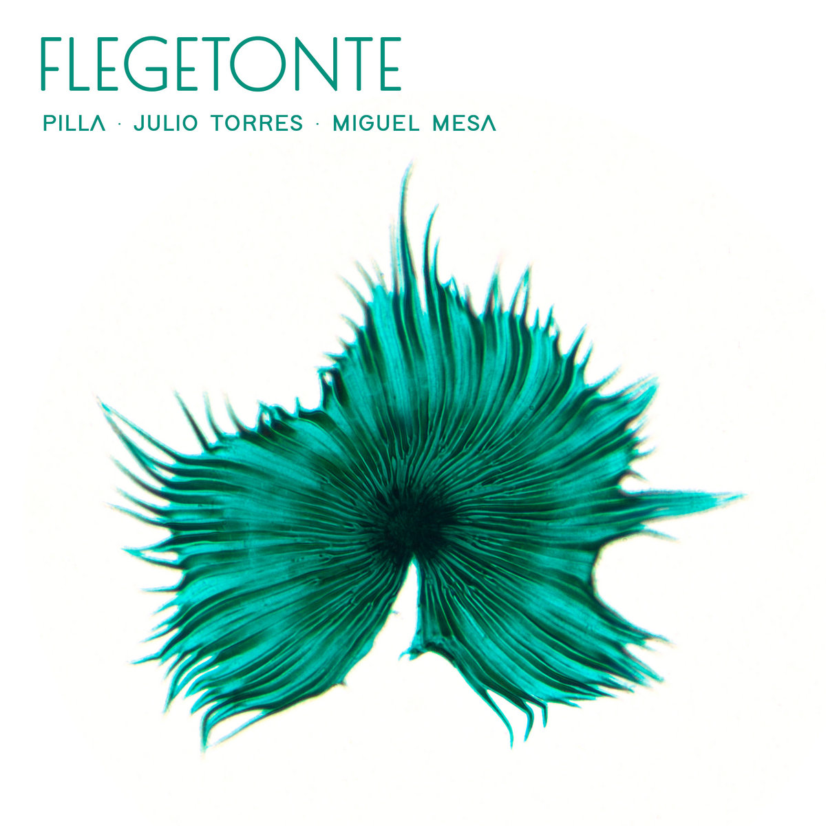 FLEGETONTE | PILLA | Pilla