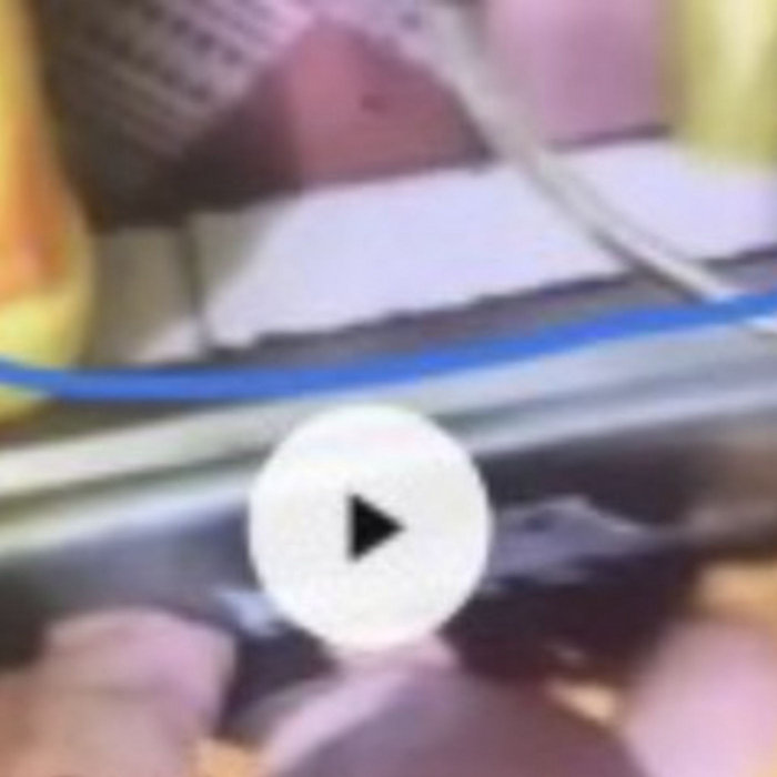 [Video Gốc]!! clip chặt đầu nguyễn xuân đạt ở lạng sơn vụ chặt đầu nguyễn xuân đạt ở lạng sơn và ...