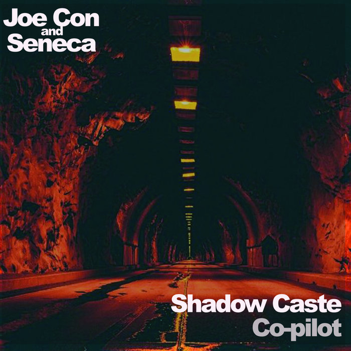 Copilot | SENECA