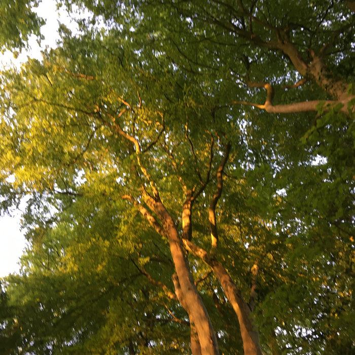 Legion Soundtrack | mummer