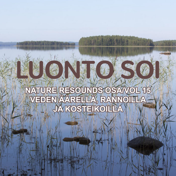 Nature Resounds Vol 15 By The Water S Edge The Beach And Wetlands