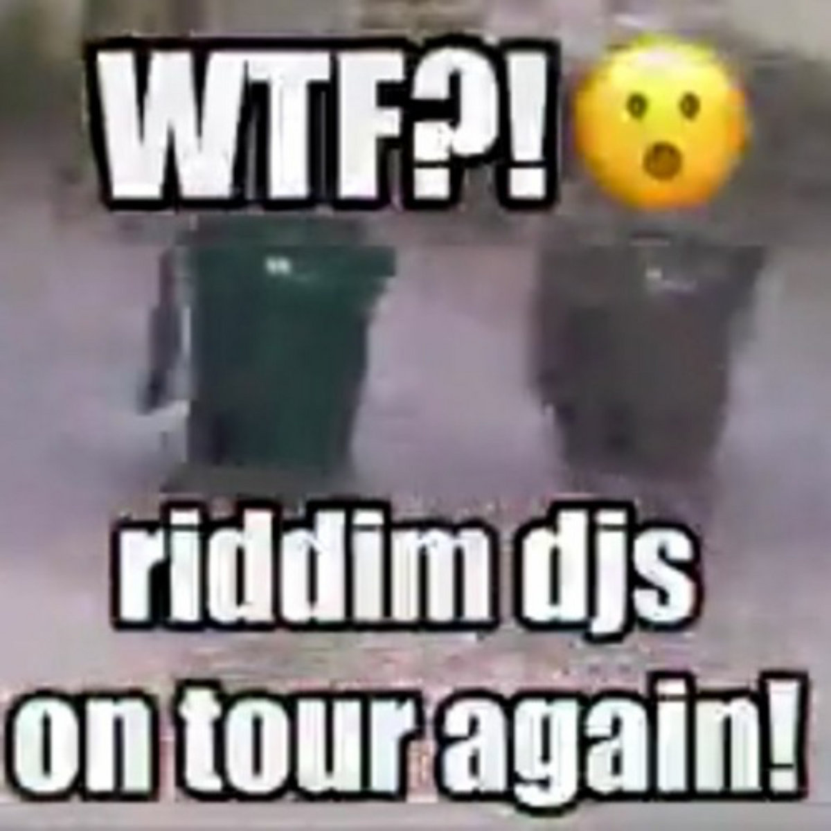 Riddim DJs on tour again | Explorers of the Internet