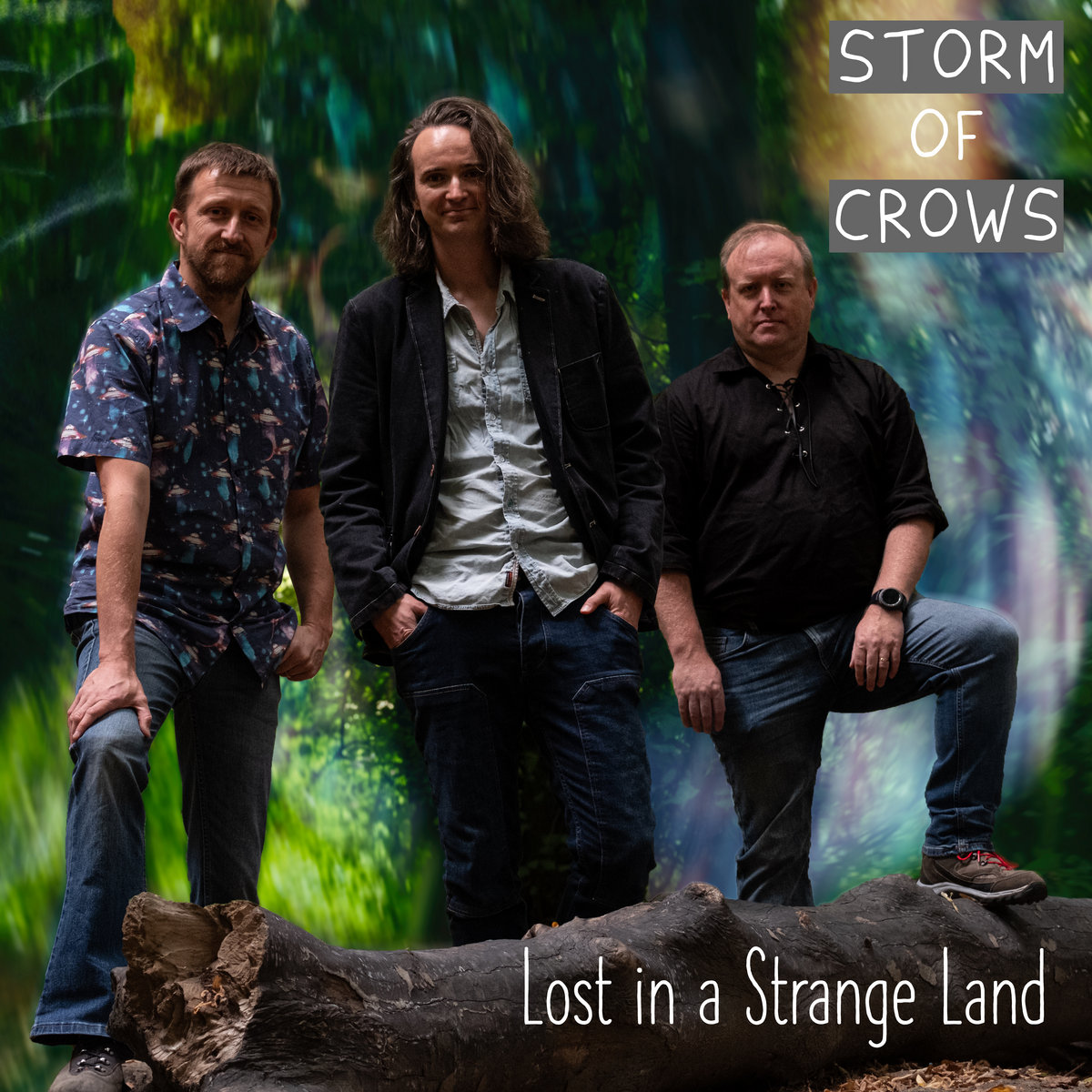 Lost in a Strange Land | Storm of Crows