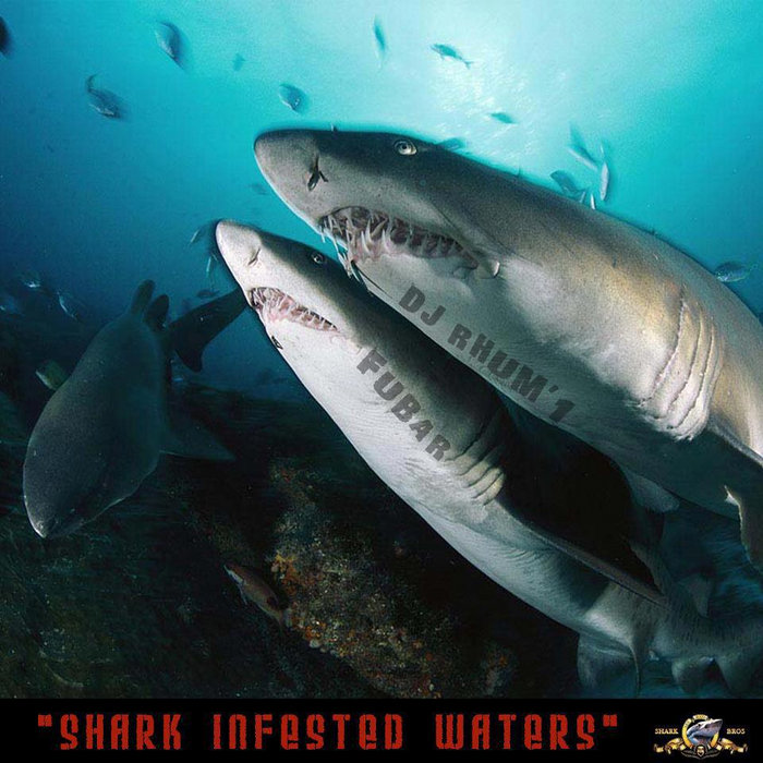 Shark Infested Waters | Fubar & DJ Rhum'1 | Fubar