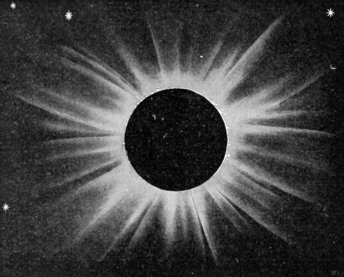 The Sceptic | Scary Shapes