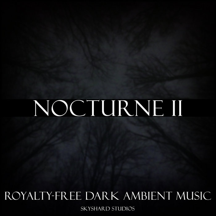 Nocturne II | Skyshard Studios