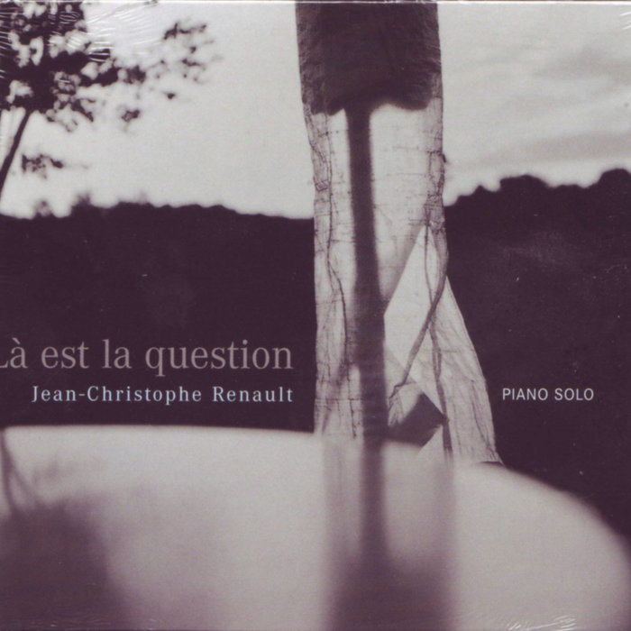 Là est la question | Jean-Christophe Renault | homerecords.be