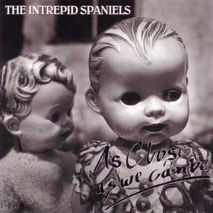 As Close As We Can Be | The Intrepid Spaniels | Phil Dearing