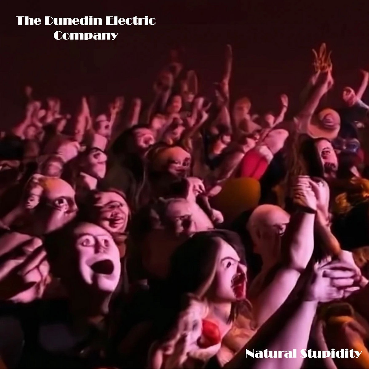 Natural Stupidity | The Dunedin Electric Company.