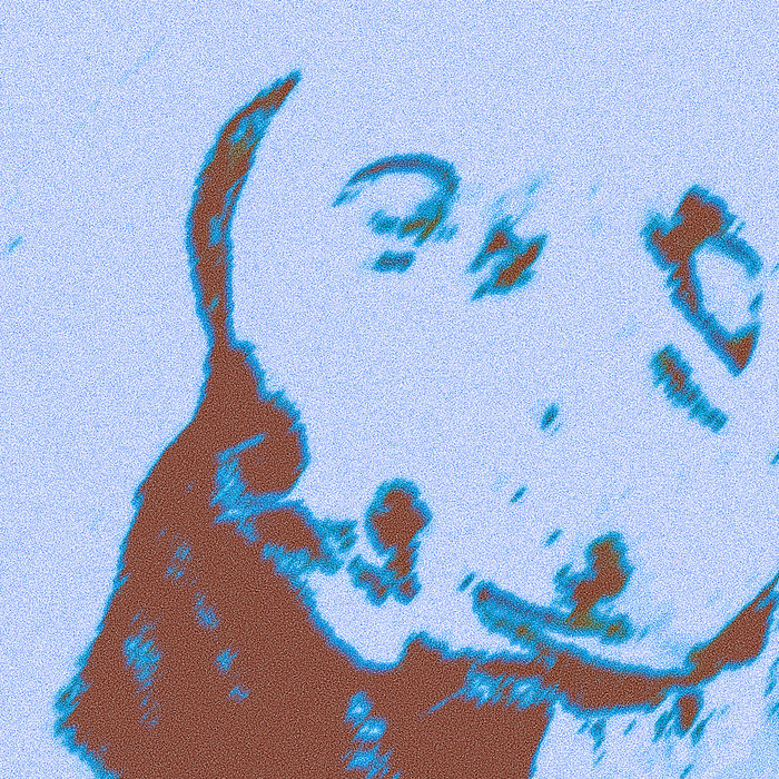 Catherine Special | SLAP RASH