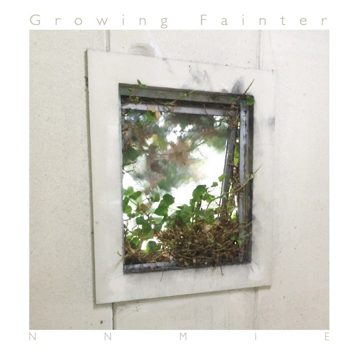 Growing Fainter | NNMIE