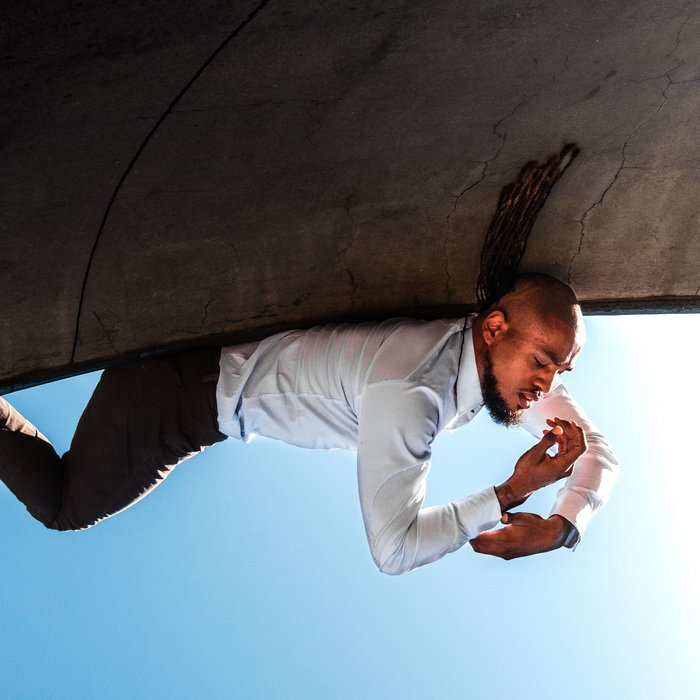 Homelike | Michael Wall