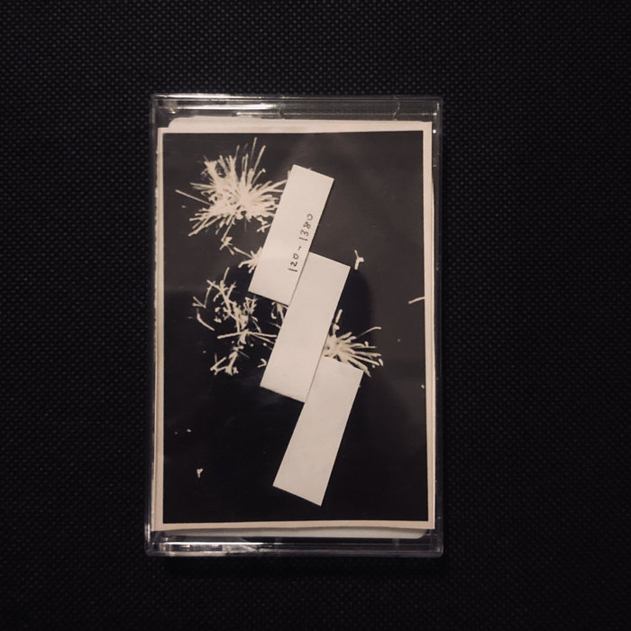 120-1380 | Harae Nagoshi