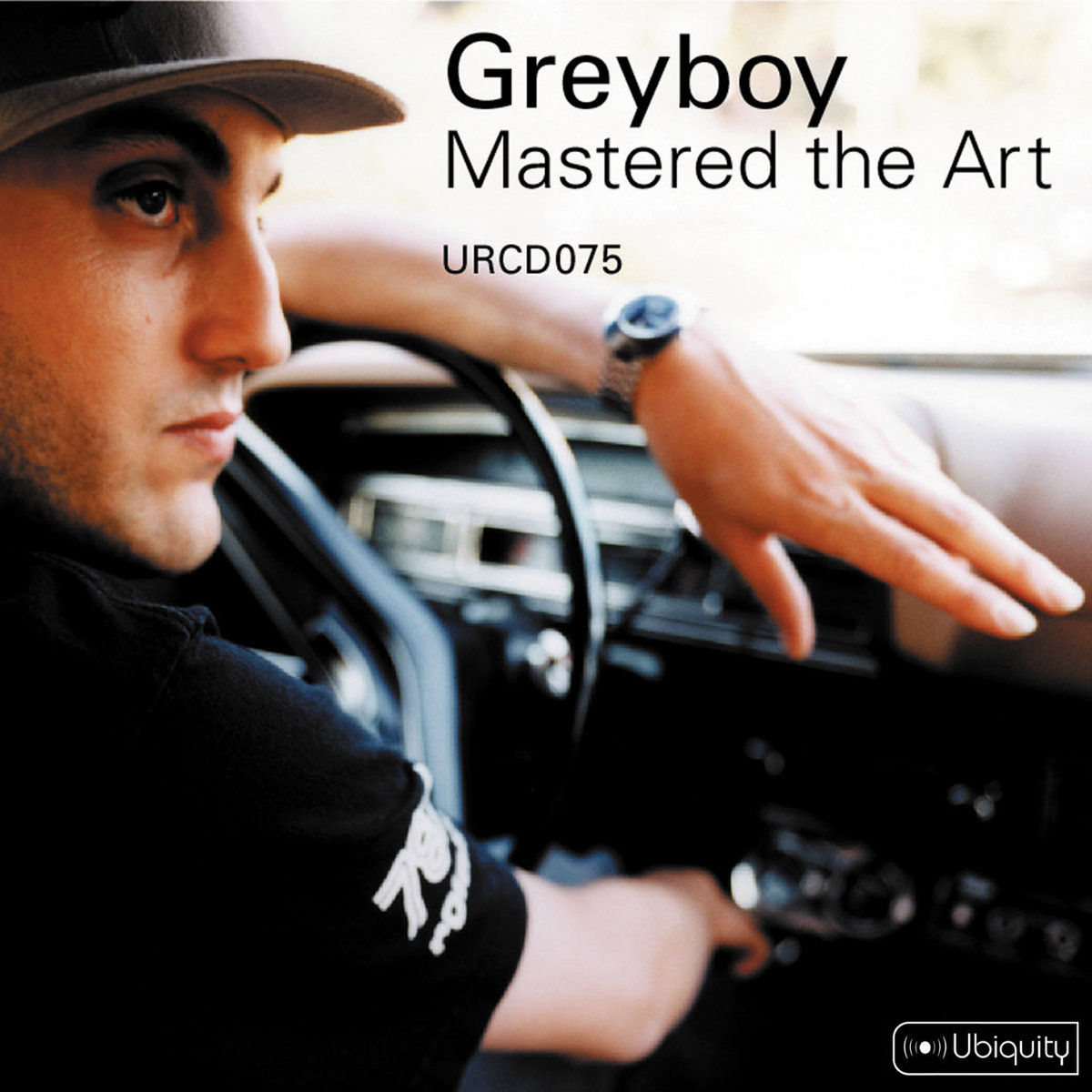 Mastered The Art | Greyboy