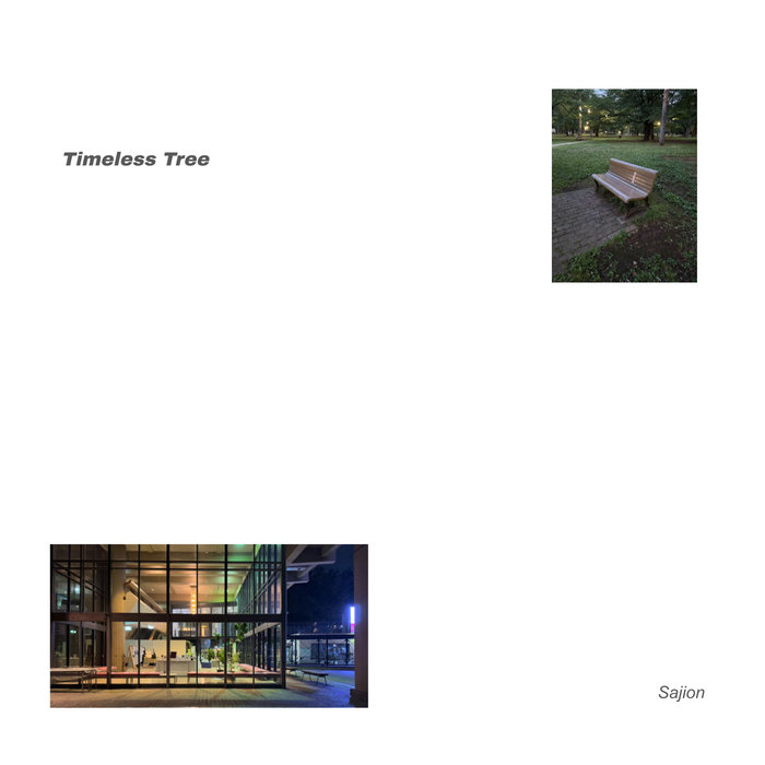 Timeless Tree | Sajion (JP) | Living Room Tapes