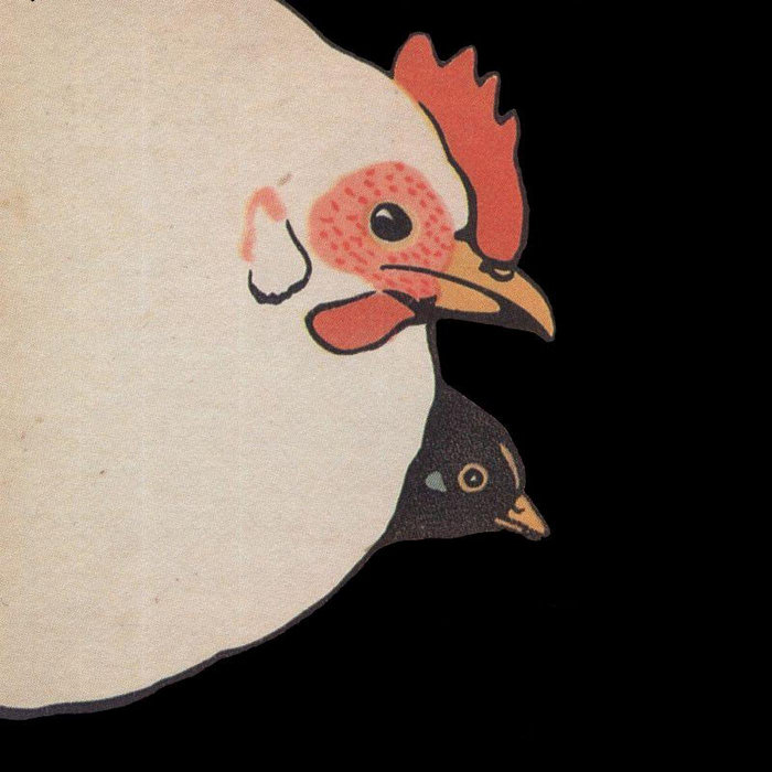 One Bird Two Bird | Akita / Gustafsson / O'Rourke | Editions Mego
