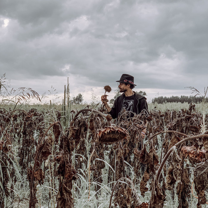 Demons Run | Soloman Crowe