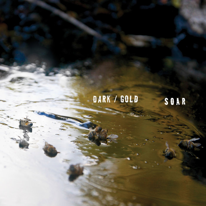 dark / gold | SOAR