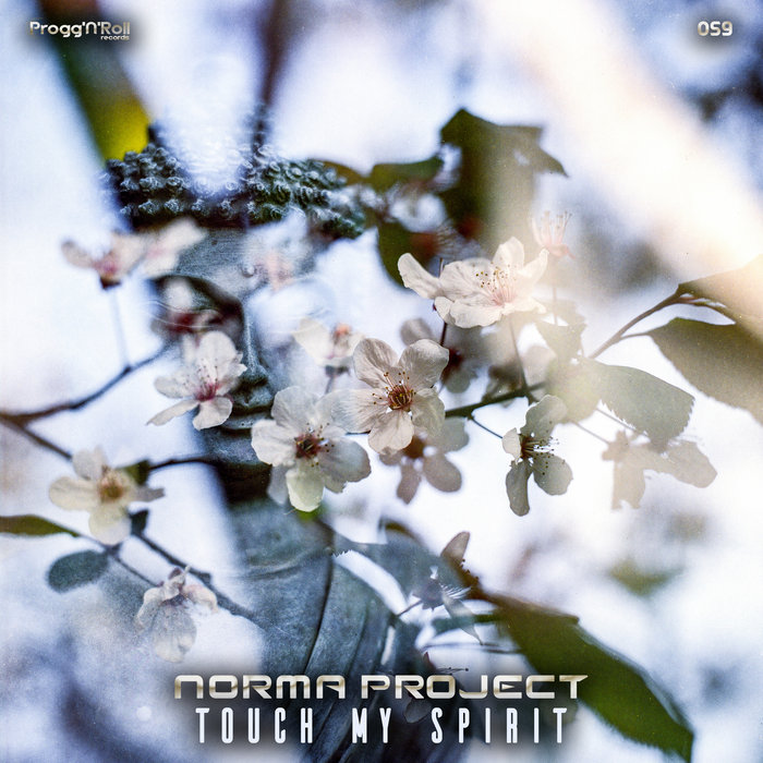 Norma Project - Touch My Spirit | Norma Project | Progg'n'Roll