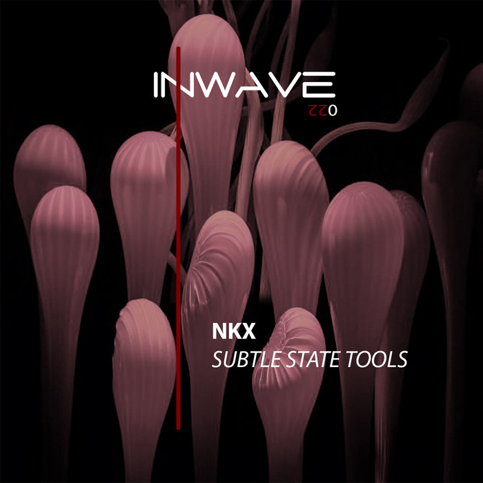 Subtle State Tools | NKX | Inwave