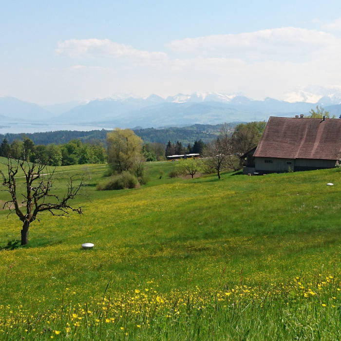 Livetype 2.1.3 Mac | Florkhr | draxtitepy