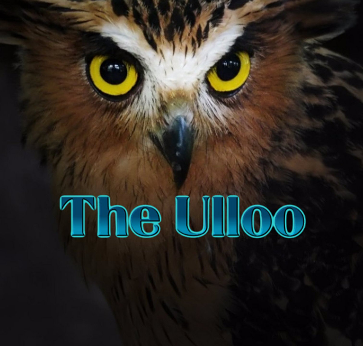 The Ulloo | The Ulloo