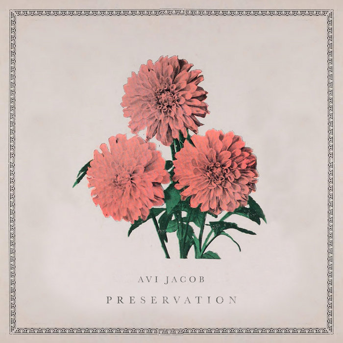 Preservation | Avi Jacob