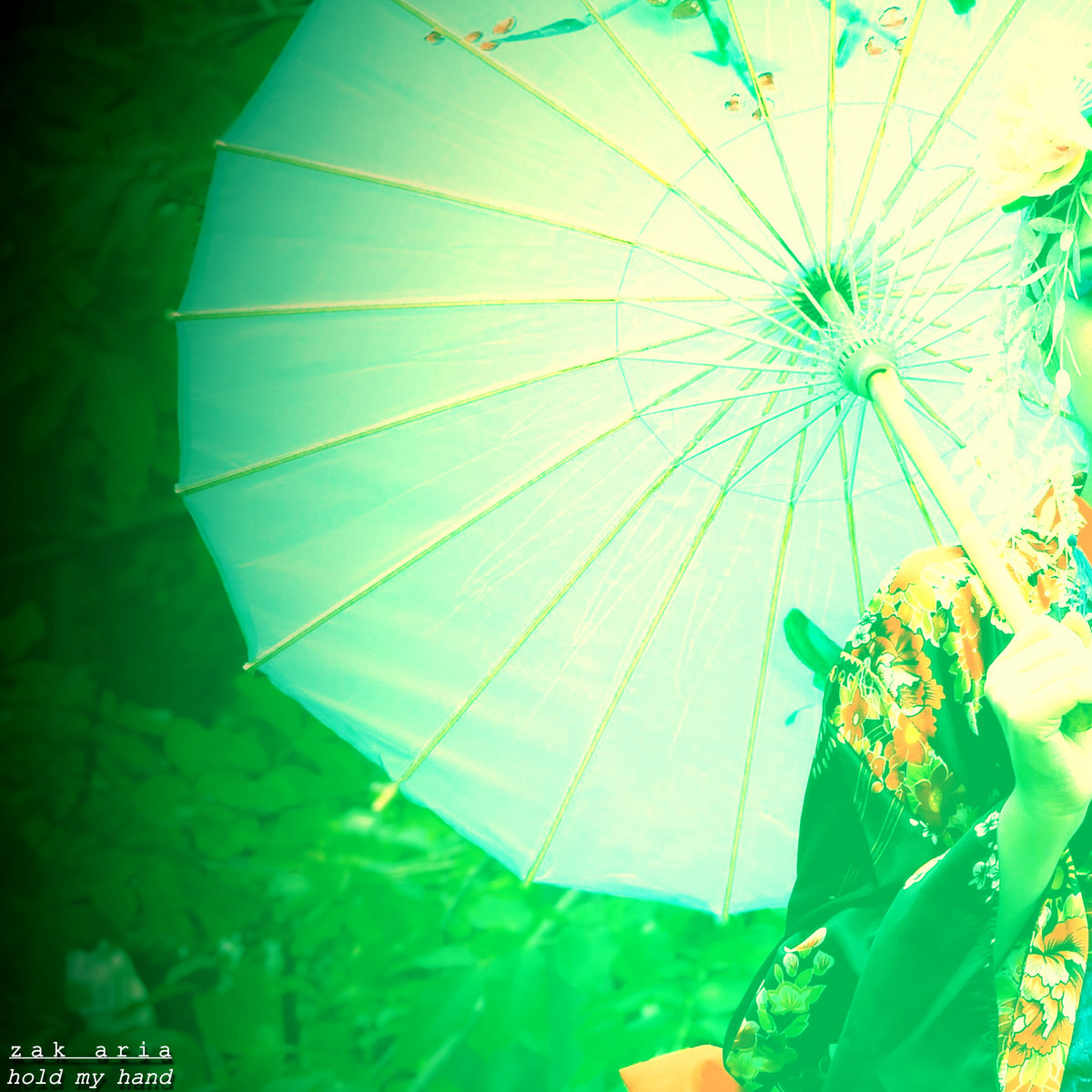 hold my hand | zak aria 📼