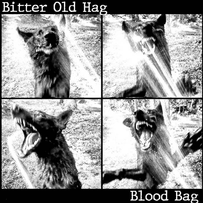 Angry Wolf Meme Blank