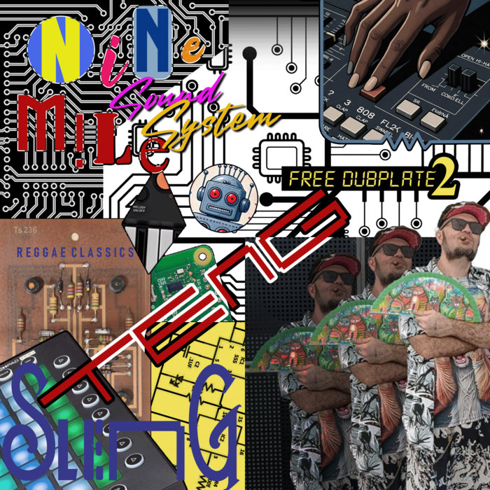 Sleng Teng Riddim | Nine Mile Sound System
