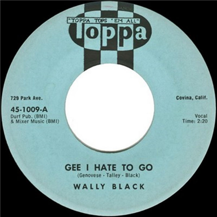 Gee I Hate To Go I Aint Gonna Cry No More | Wally Black
