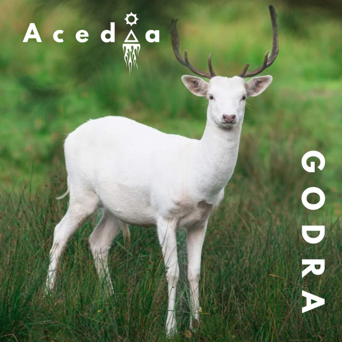 Acedia | Godra
