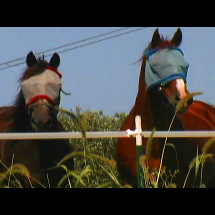 BAKER 'Live Free or Die' | Baker | Bob Ebeling