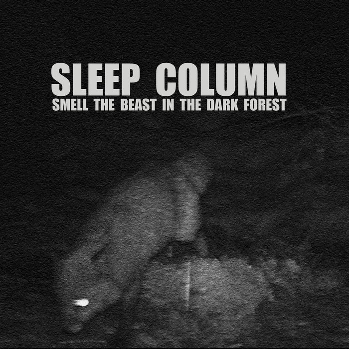 Smell The Beast In The Dark Forest | Sleep Column | Nihil Worship