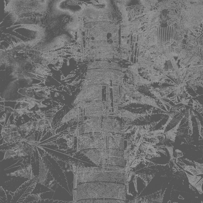 the potluck: a 420 celebration comp (2022) | labgrown
