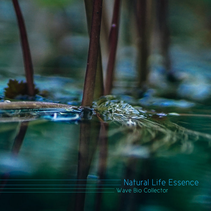 Wave Bio Collector | Natural Life Essence | CYAN