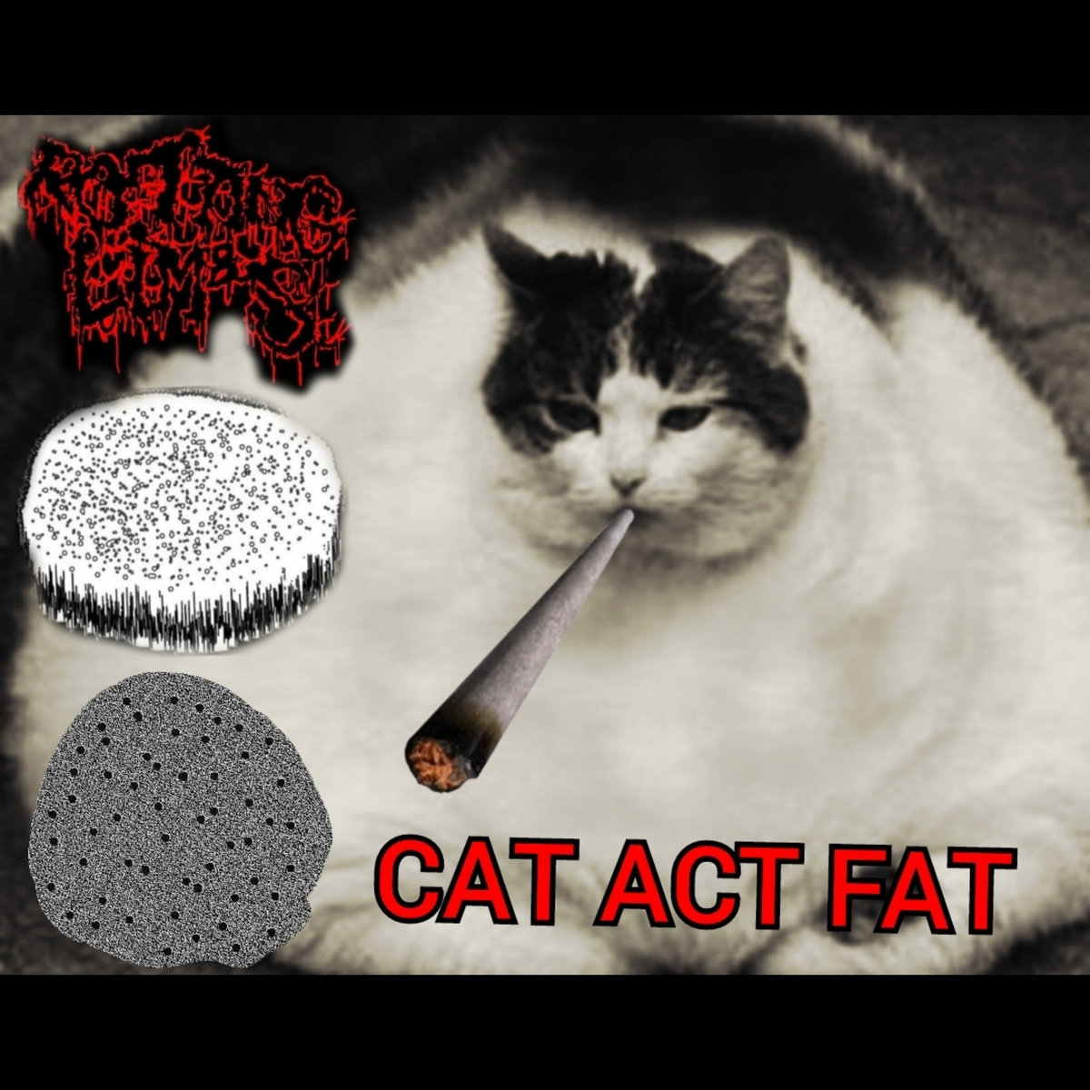 CAT ACT FAT | DxBxAxIxRxHxFx / INFANTICIDE (Infant Sodomy) / Plushy ...