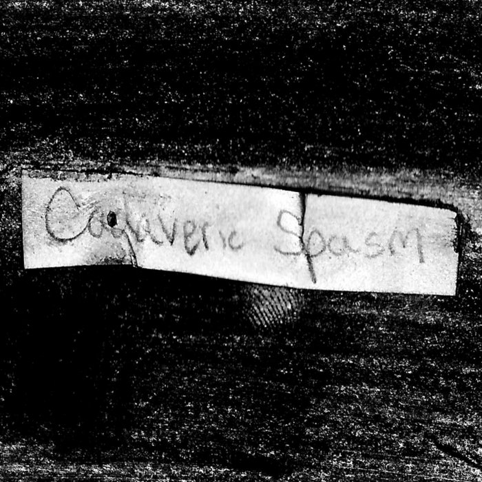 The Dry Remains | Cadaveric Spasm | Embalmer