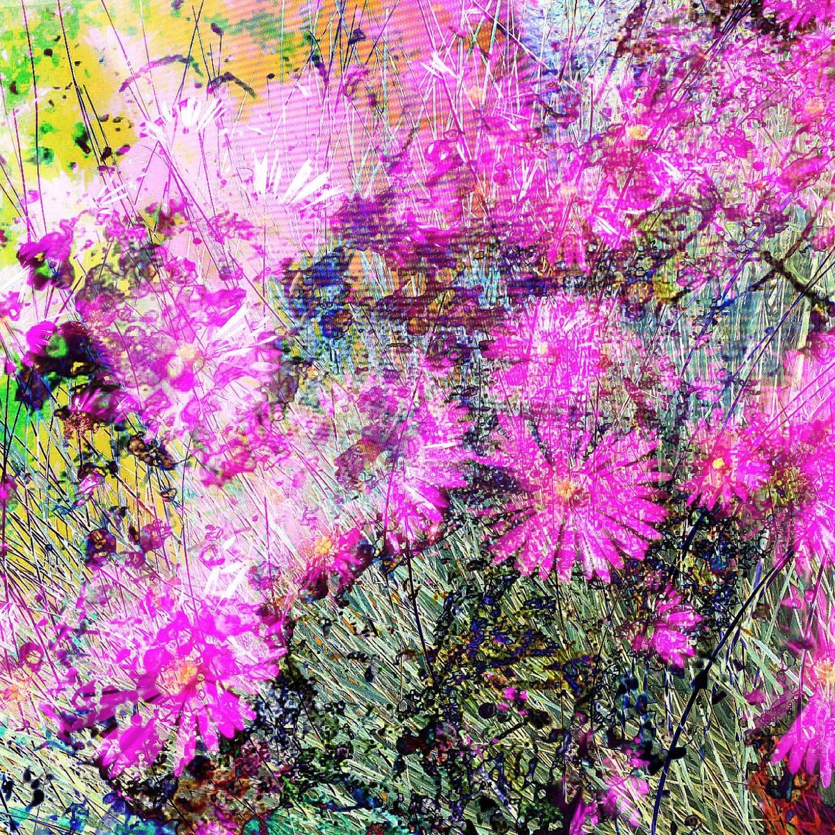 possible flowers | rose cherami