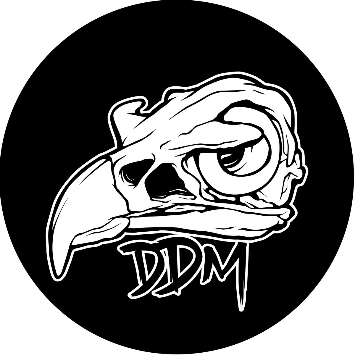 DDM 001 | DDM